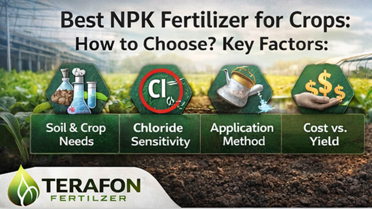 NPK Fertilizer Guide: Chloride vs Sulfate vs Nitrate Types | Terafon