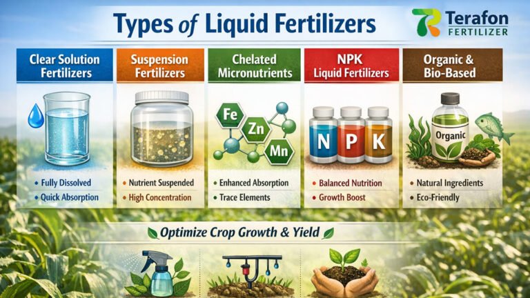 Comprehensive Guide to Liquid Fertilizer Types for Crops