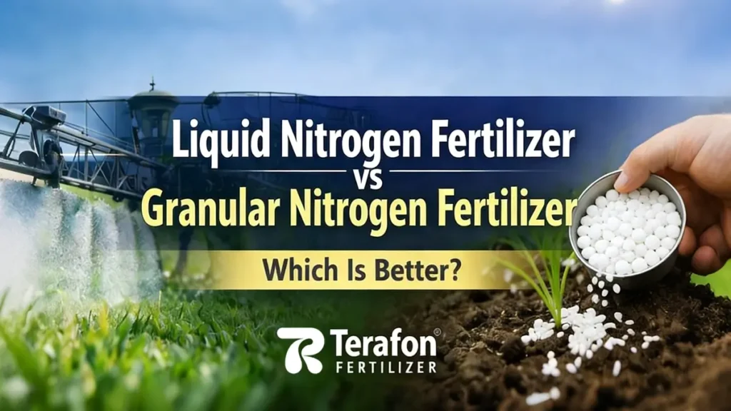 Liquid vs Granular Nitrogen Fertilizer: Which Is Best? | Terafon